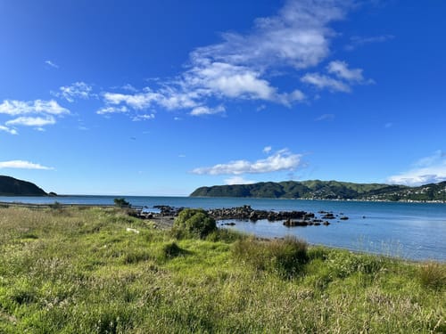 Best Hikes and Trails in Whitireia Park | AllTrails