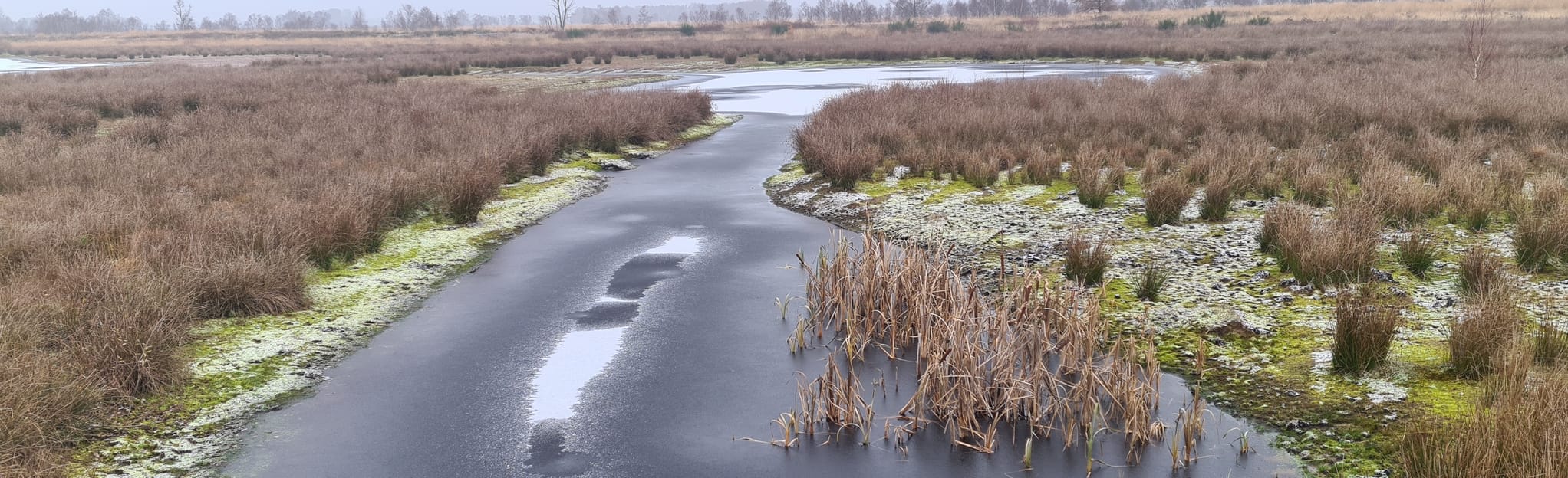 Amsterdamsche Veld - Weiteveen, Drenthe, Netherlands - 10 Reviews, Map ...