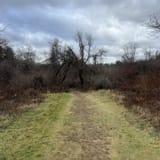 Battle Road Trail, Massachusetts - 1,001 Reviews, Map | AllTrails