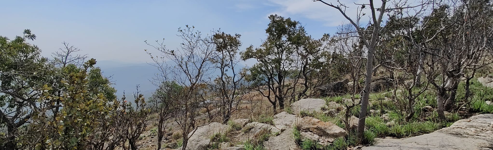 Chinaga Betta, Karnataka, India - 5 Reviews, Map | AllTrails