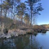 Choctaw Lake Recreation Area Loop, Mississippi - 141 Reviews, Map ...