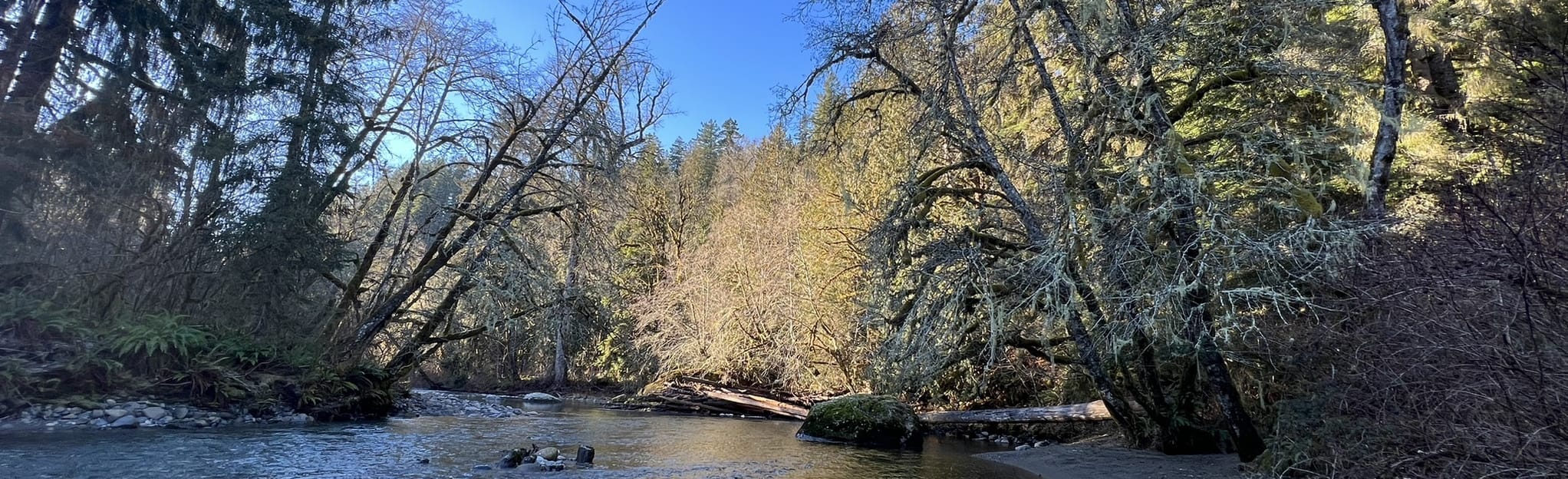 Pilchuck River Trail, Washington - 245 Reviews, Map | AllTrails