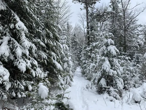 Best Hikes and Trails in Huberdeau | AllTrails