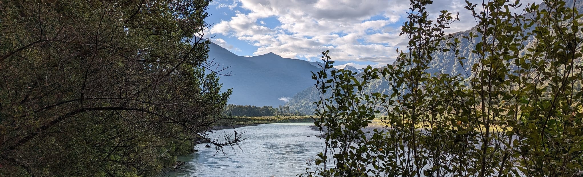 Copland Track to Welcome Flat Hut: 137 Reviews, Map - West Coast, New ...