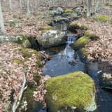 Arcadia Trail Loop, Rhode Island - 279 Reviews, Map | AllTrails