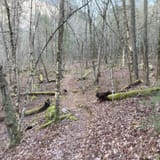 Arcadia Trail Loop, Rhode Island - 279 Reviews, Map | AllTrails