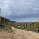 Bulldog Canyon OHV Route, Arizona - 484 Reviews, Map | AllTrails