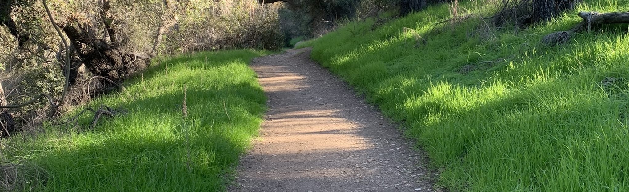 AllTrails | West Ridge to Car Wreck Trail and Mathis Canyon Loop: 1174 ...