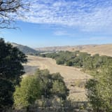 Black Phoebe Trail, California - 40 Reviews, Map | AllTrails