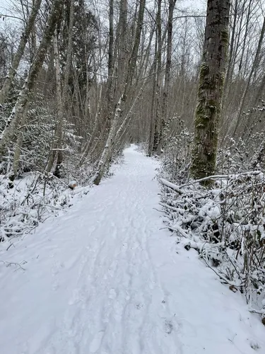 Best Hikes and Trails in Colebrook Park | AllTrails