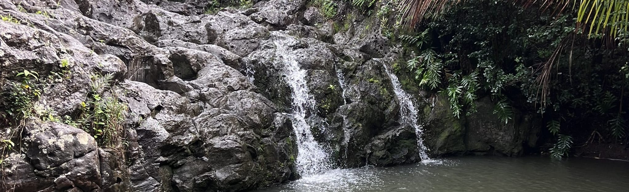 Wailele Falls Trail [PRIVAT EGENDOM] - Oahu, Hawaii | AllTrails