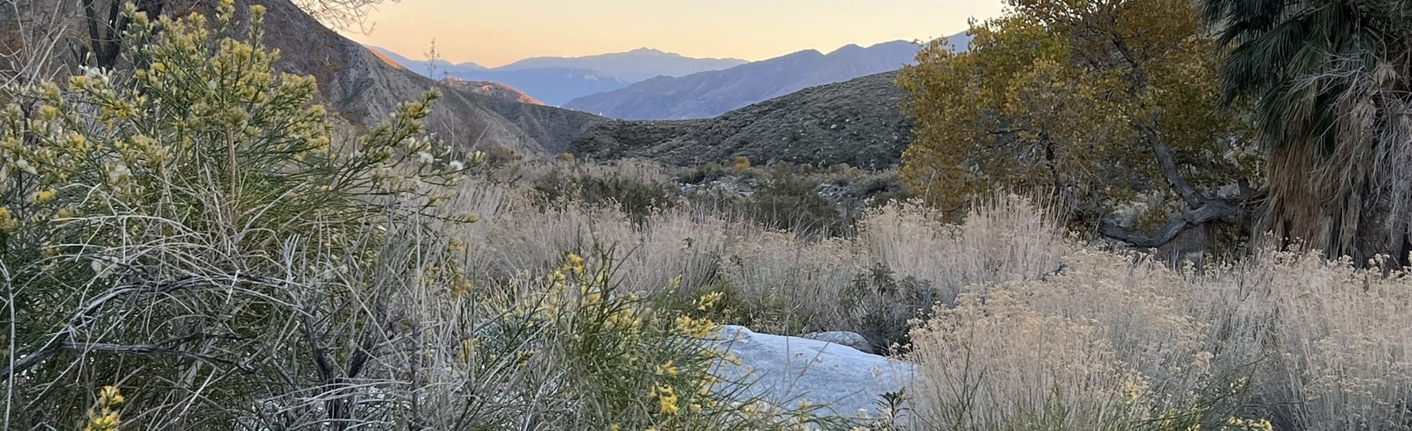 Pacific Crest Trail: Whitewater Preserve to Stone House, California ...