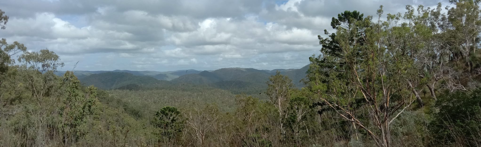 Boyne Burnett Inland Rail Trail: 1 Reviews, 66 Photos, Map - Queensland ...