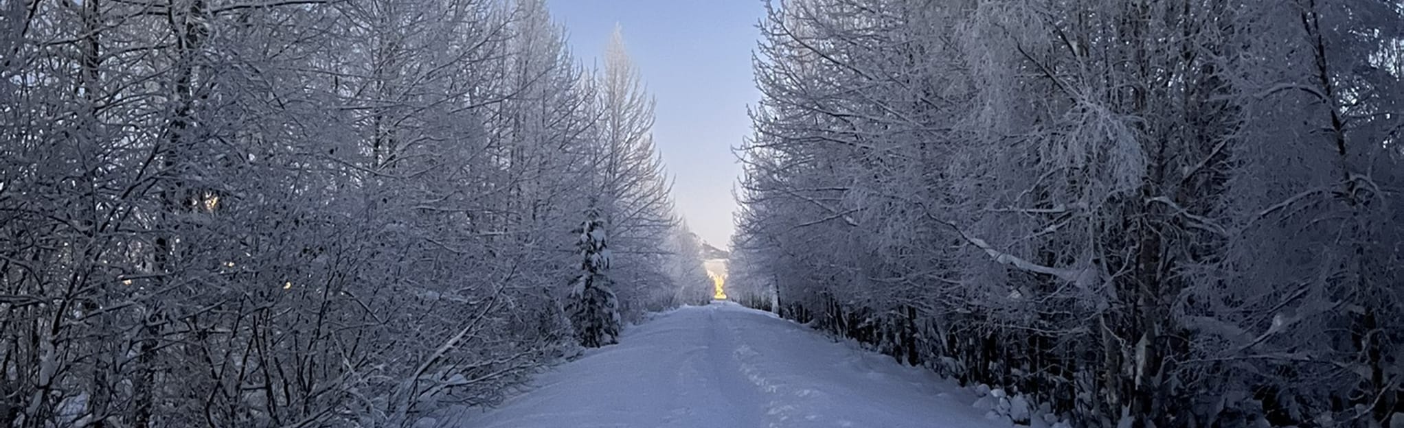 Conner's Lake Dog Park Trail - Alaska | AllTrails