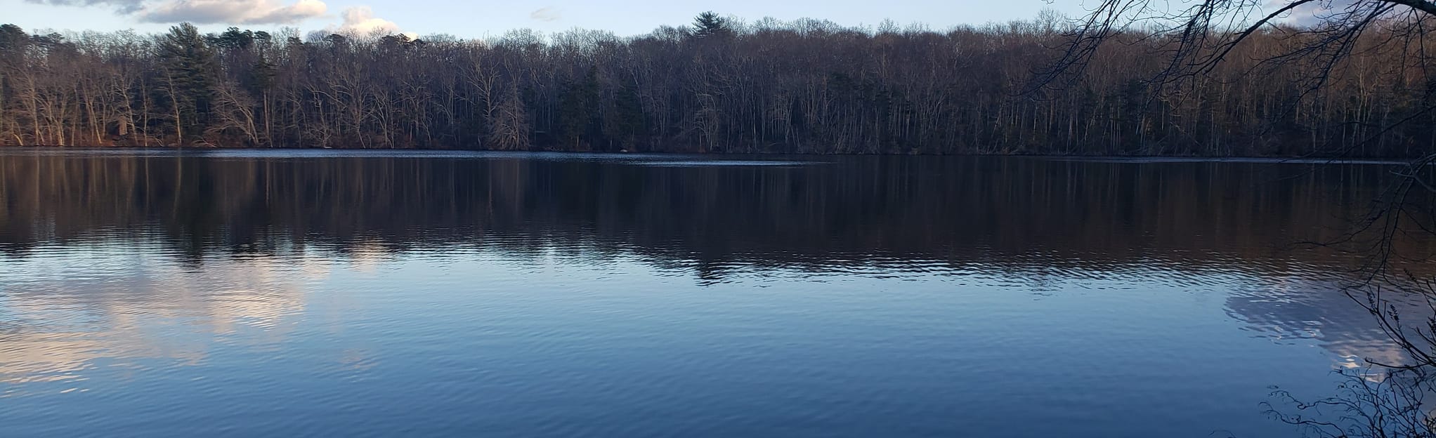 Beach Pond to Dye Hill Loop, Rhode Island - 82 Reviews, Map | AllTrails