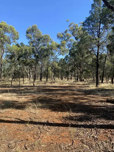 Best Hikes and Trails in Terrick Terrick National Park | AllTrails