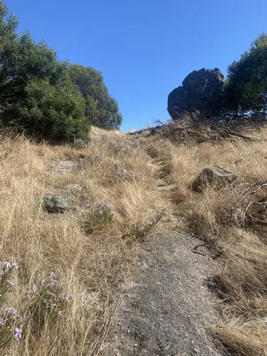 Best Hikes and Trails in Terrick Terrick National Park | AllTrails