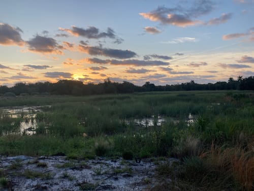 Best Hikes and Trails in Spanish River Athletic Park | AllTrails