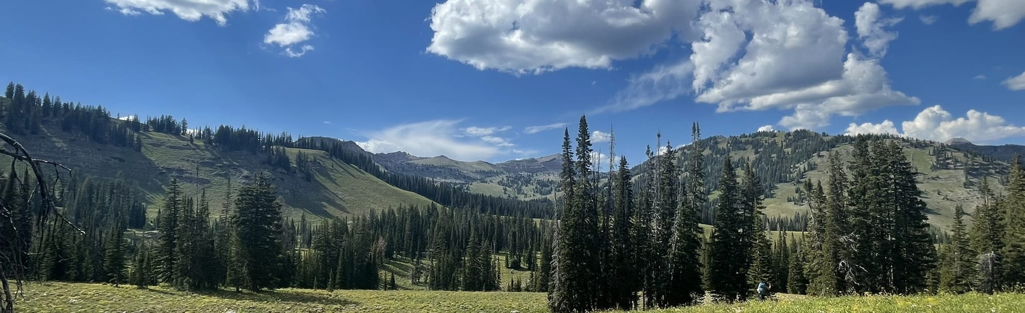 Marion Lake Trail, Wyoming - 44 Reviews, Map | AllTrails