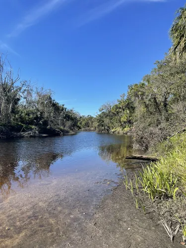 Best Hikes and Trails in Rye Preserve | AllTrails