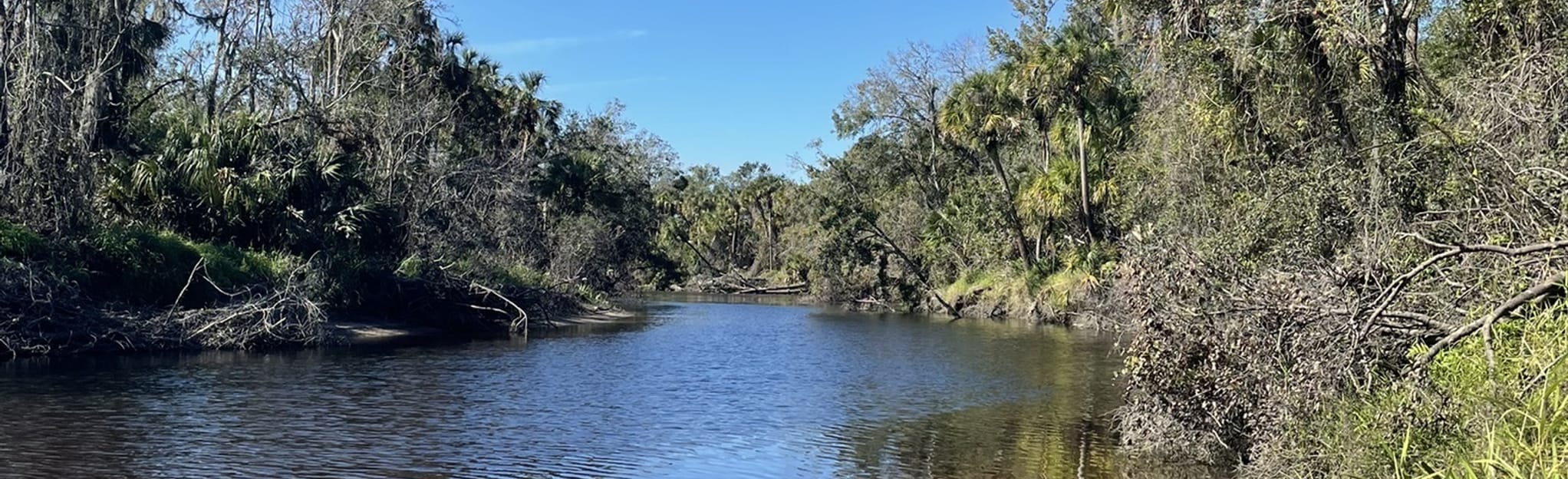 Manatee River Paddle Trip: Rye Wilderness Park to Fort Hamer: 17 ...