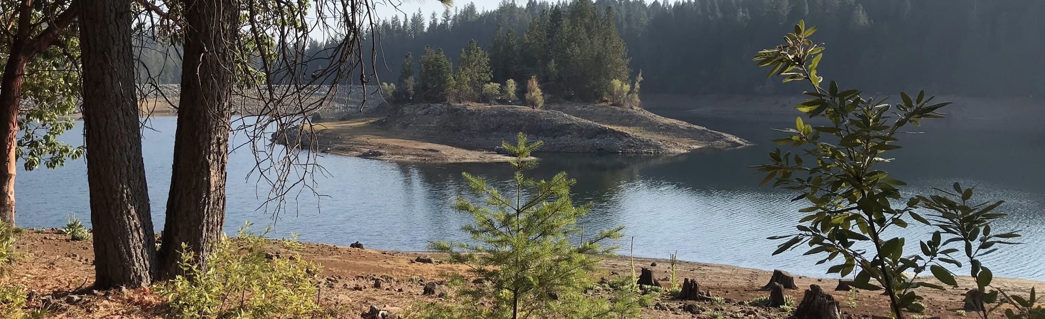 Paradise Lake: 95 Reviews, Map - California | AllTrails