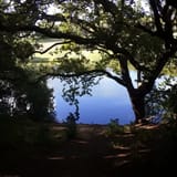 Majik Forest Walking Trail, Western Cape, South Africa - 189 Reviews ...