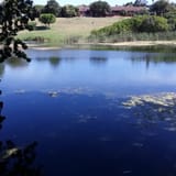 Majik Forest Walking Trail, Western Cape, South Africa - 189 Reviews ...