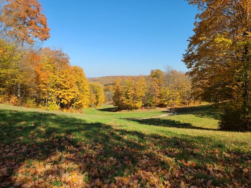 Best 10 Hikes and Trails in Copeland Forest | AllTrails