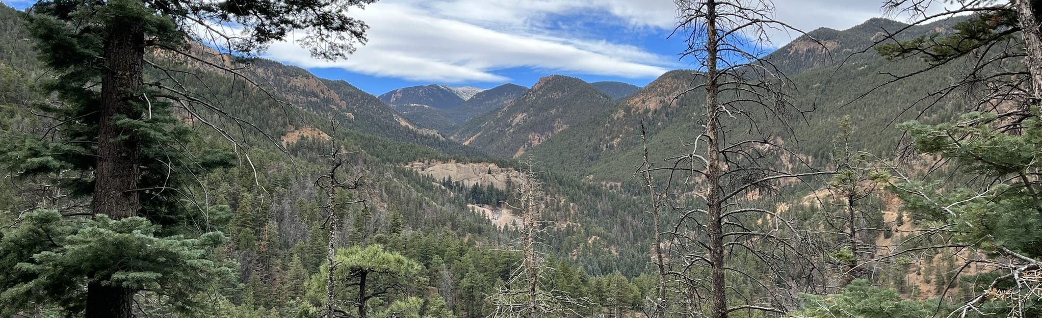 Daniel's Pass to Mount Muscoco: 323 Reviews, Map - Colorado | AllTrails