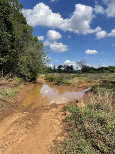 Best Hikes and Trails in Groenkloof Nature Reserve | AllTrails