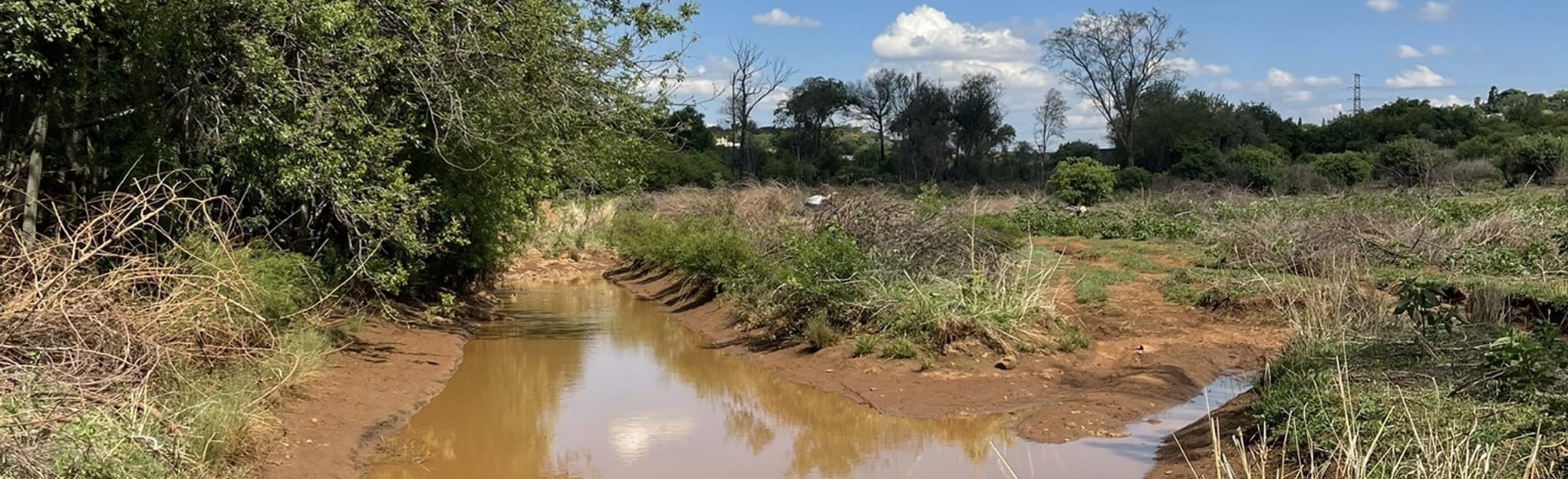 Groen Kloof Fountain Valley: 61 foto's - Gauteng, Zuid-Afrika ...
