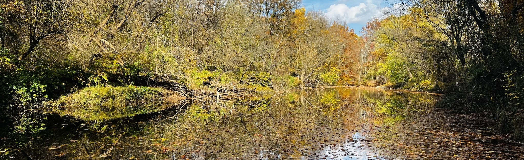 Pennypack Park Trail South Side, Pennsylvania - 215 Reviews, Map ...