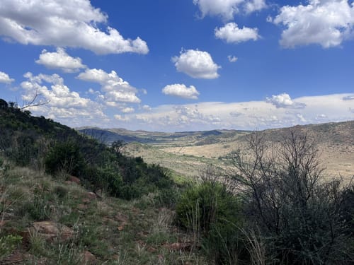 Best Hikes and Trails in Suikerbosrand Nature Reserve | AllTrails