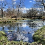 Alley Spring Overlook Trail, Missouri - 300 Reviews, Map | AllTrails