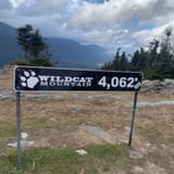 Wildcat D via Wildcat Ridge Trail, New Hampshire - 277 Reviews, Map ...