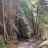 Wildcat D via Wildcat Ridge Trail, New Hampshire - 277 Reviews, Map ...
