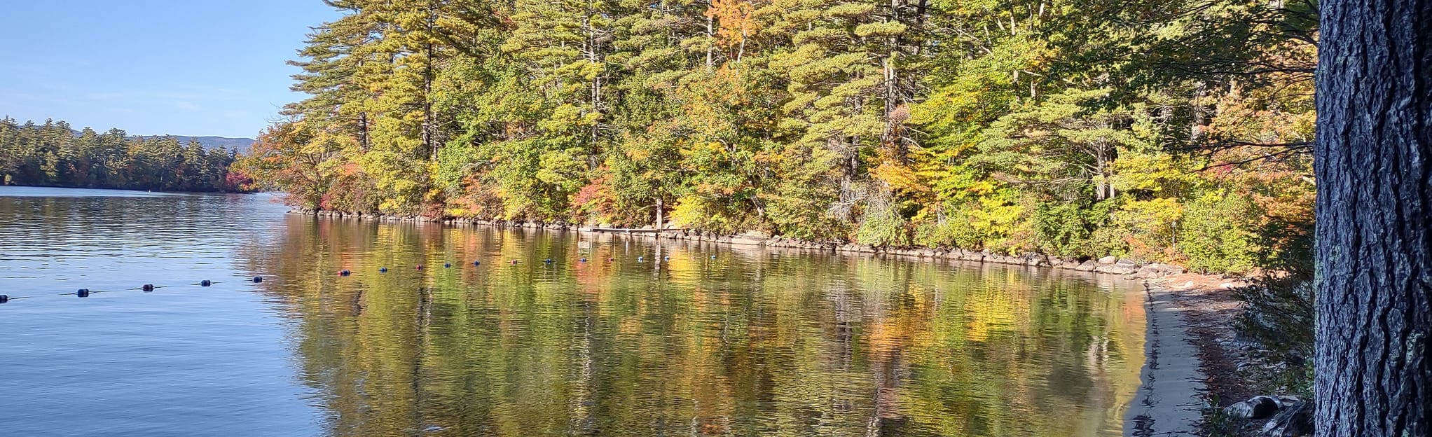Chamberlain-Reynolds Memorial Forest Loop, New Hampshire - 820 Reviews ...