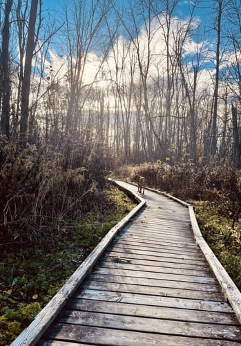 Best Hikes and Trails in Joe Sams Park | AllTrails