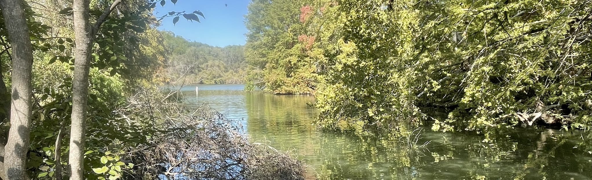 Commons Ford Waterfall Trail, Texas - 468 Reviews, Map | AllTrails