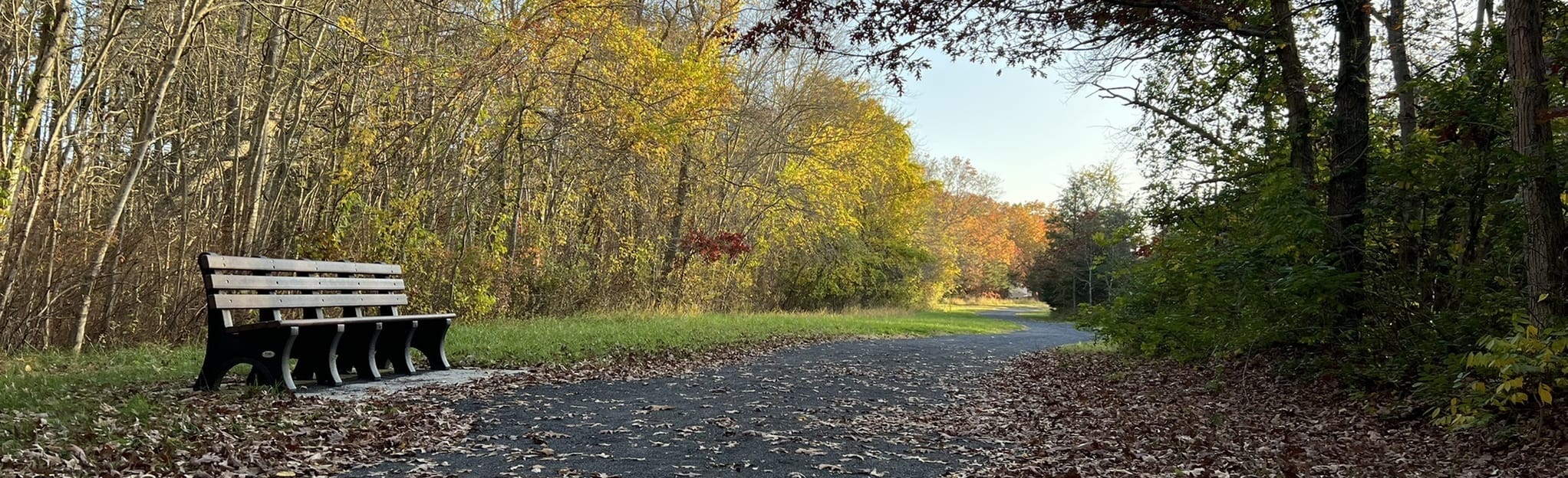 Barnegat Branch Trail, New Jersey - 114 Reviews, Map | AllTrails