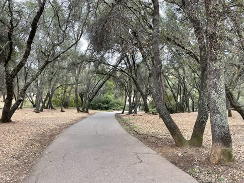 Best Hikes and Trails in Auburn District Regional Park | AllTrails