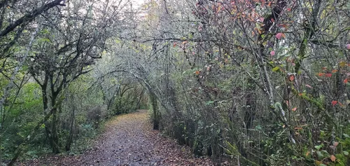 Best Hikes and Trails in Cuthbert Holmes Park | AllTrails