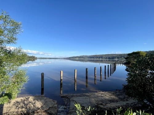 2023 Best Trails in Moe | AllTrails