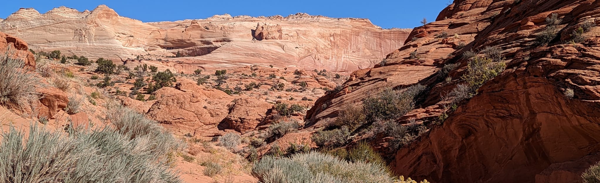 Wire Pass Trail to Buckskin Gulch - Utah | AllTrails