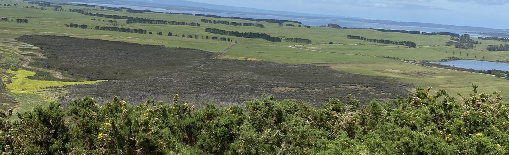 Puheke Hill Hike: 17 Reviews, Map - Northland, New Zealand | AllTrails