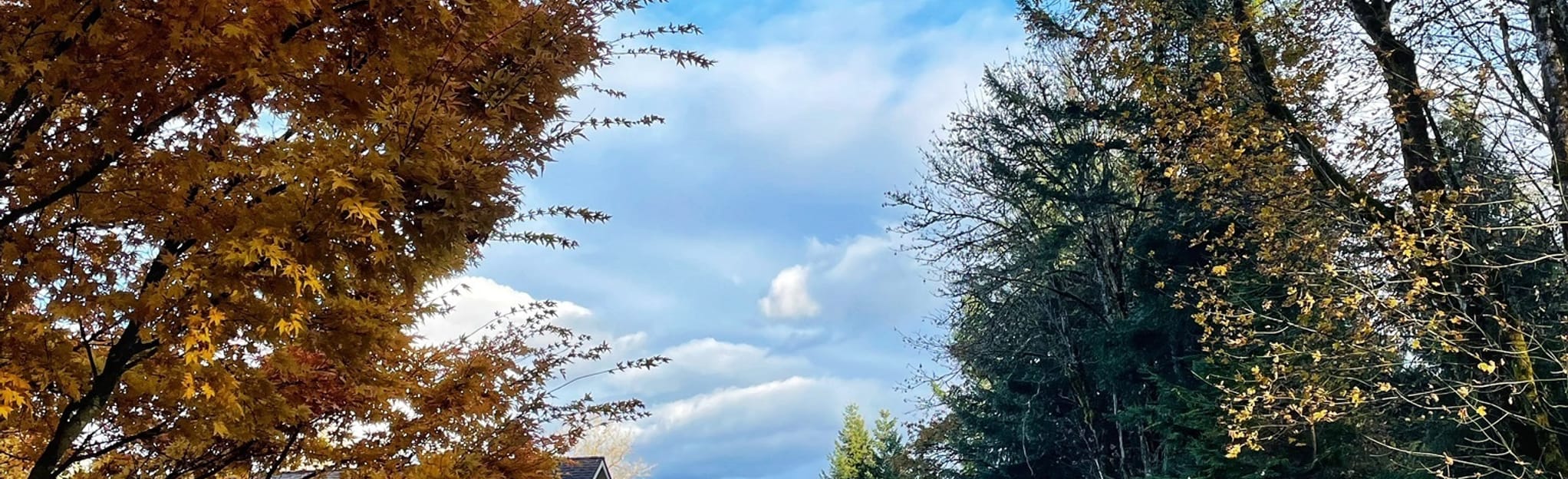 Lake Youngs, Washington - 291 Reviews, Map | AllTrails