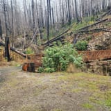 Fall Creek Falls Trail, Oregon - 309 Reviews, Map | AllTrails