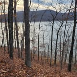 Tracy Ridge Hiking Trail System , Pennsylvania - 310 Reviews, Map ...