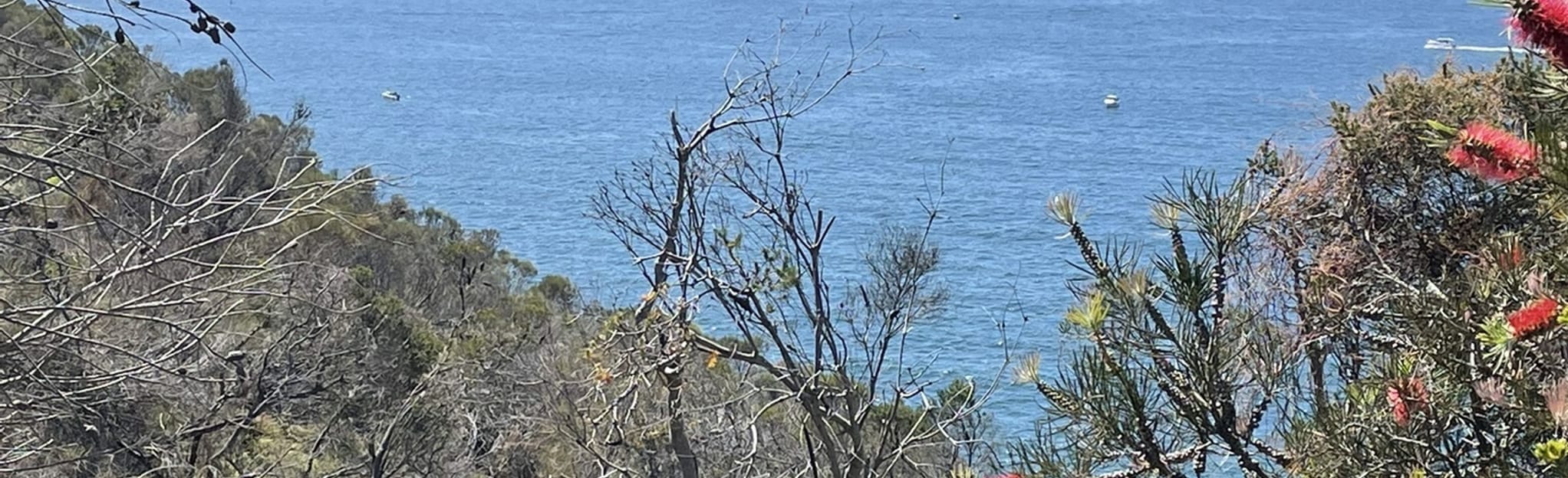 Grotto Point Lighthouse and Washaway Beach: 25 Reviews, Map - New South ...